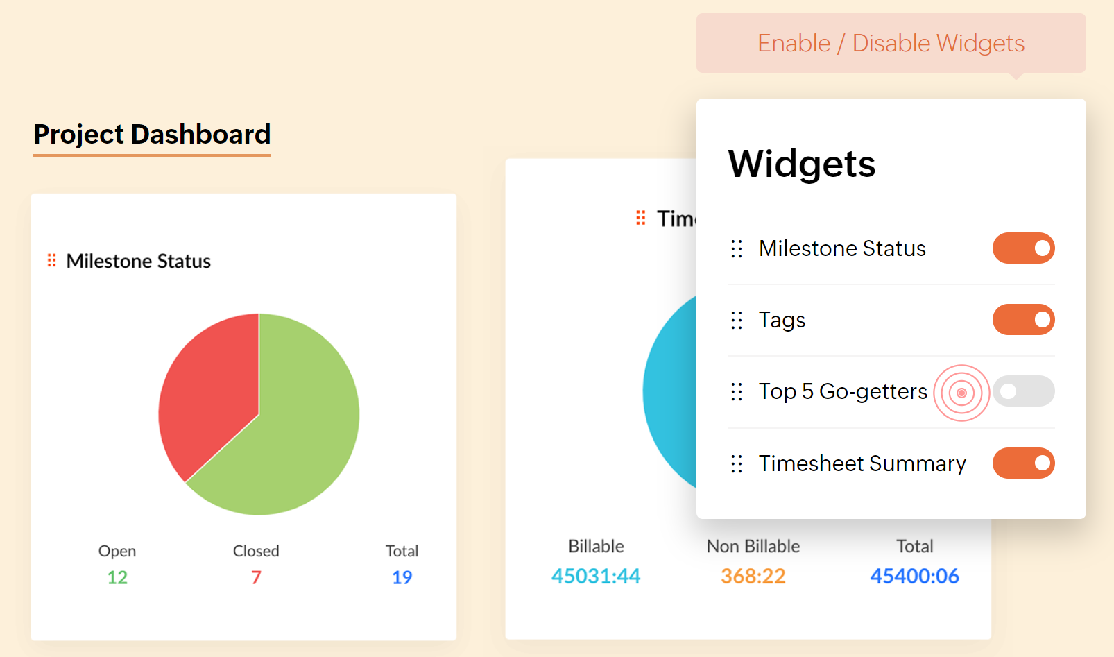 Zoho Projects Customizations - Acute Data Systems